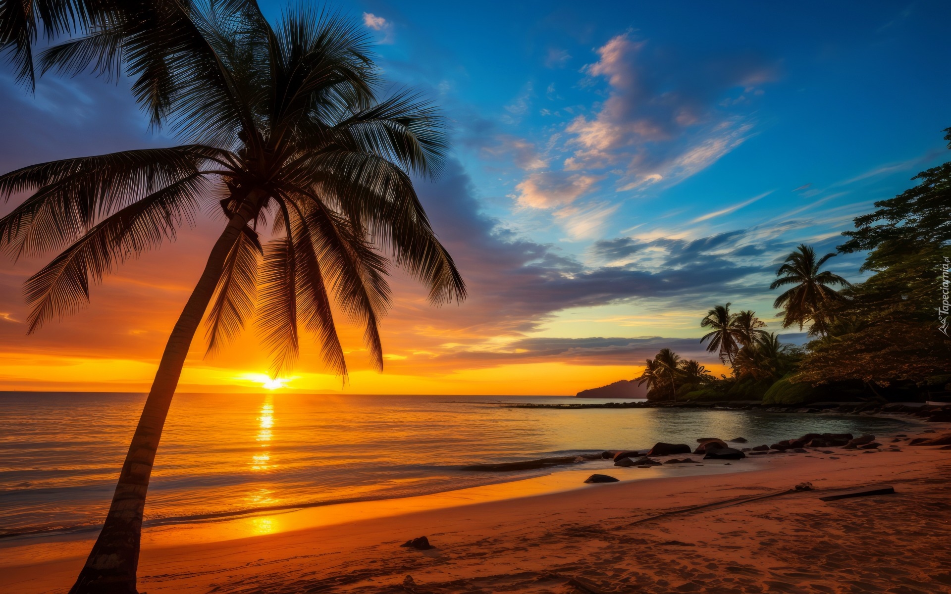 Edycja Tapety: Palma na plaży w blasku zachodzącego słońca nad morzem