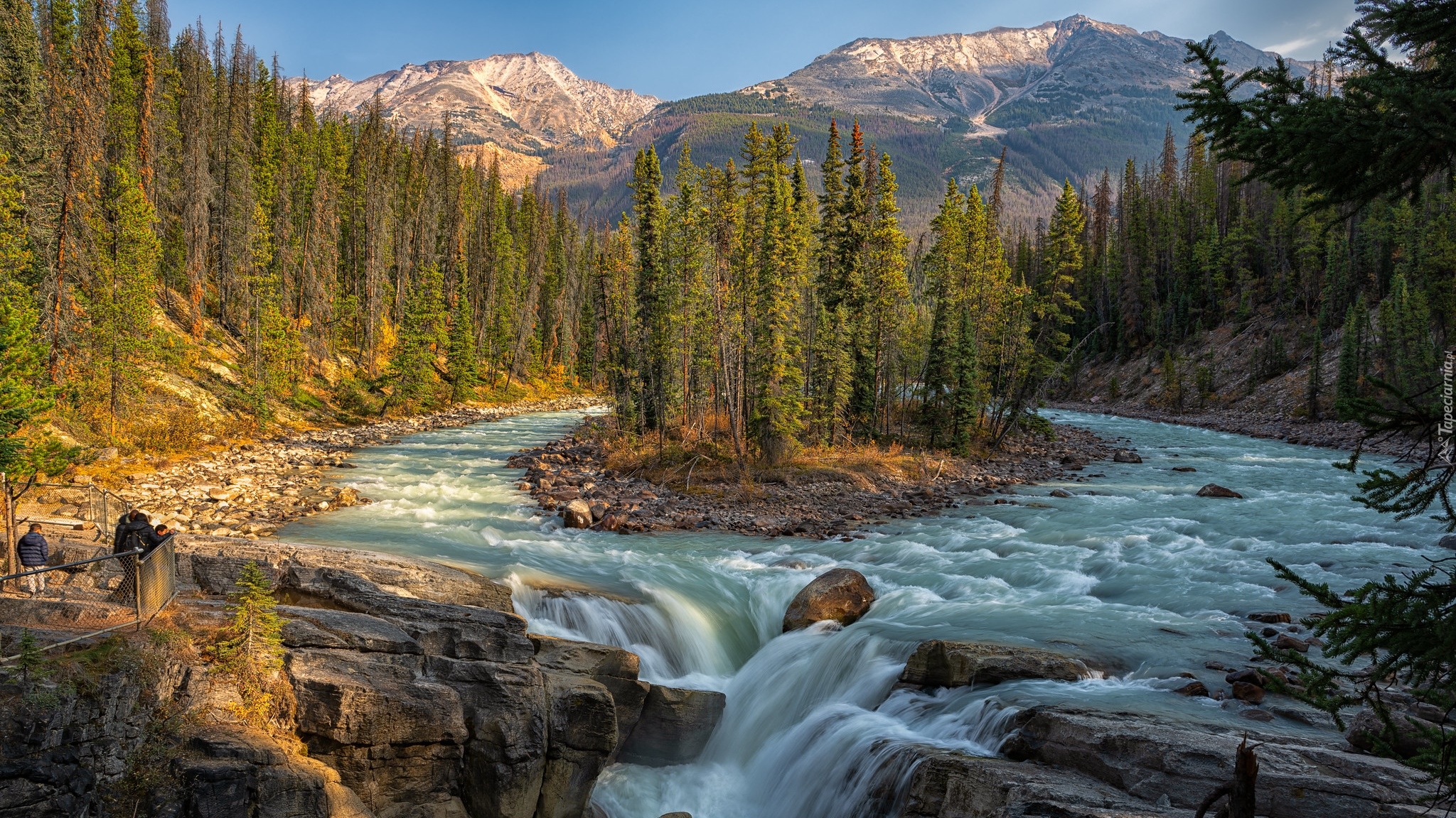 Edycja Tapety: Rzeka i wodospad Sunwapta w Parku Narodowym Jasper