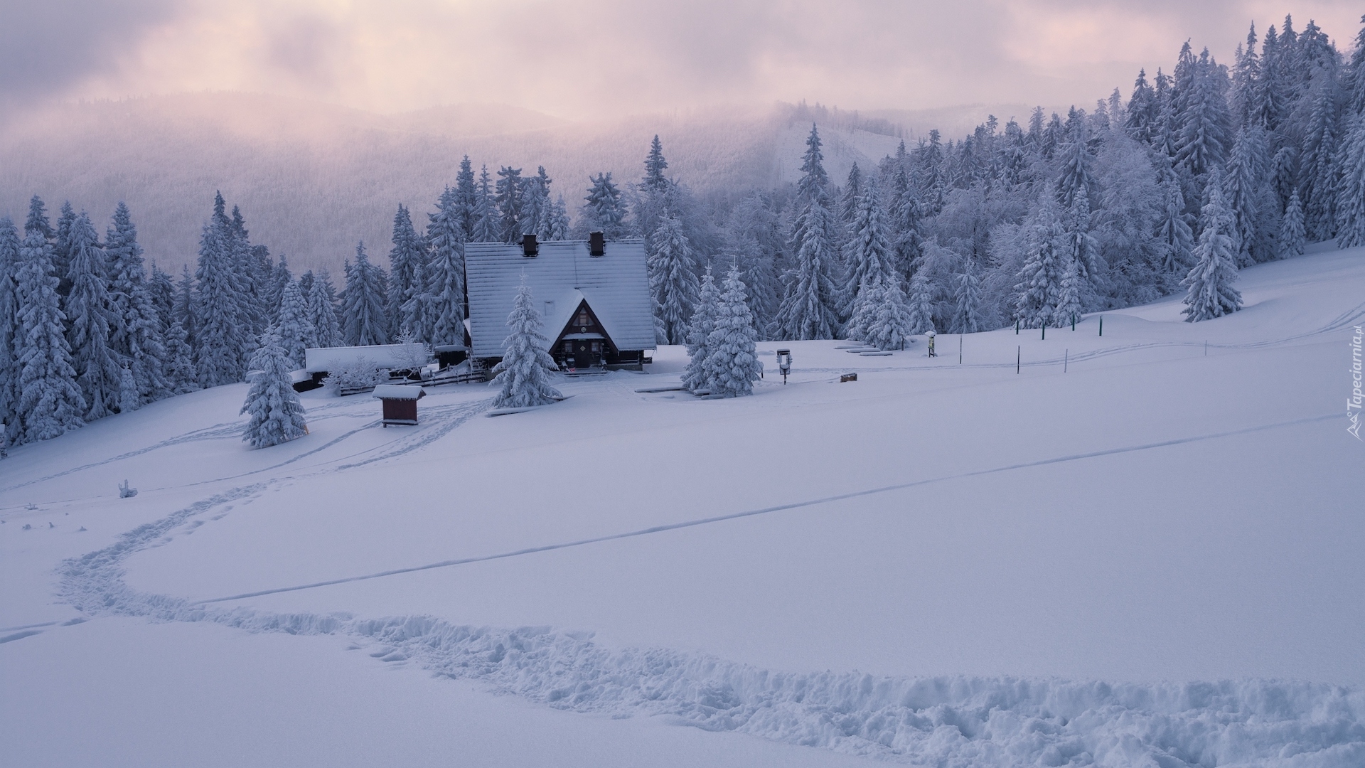 Hala Rycerzowa w Beskidach zimą