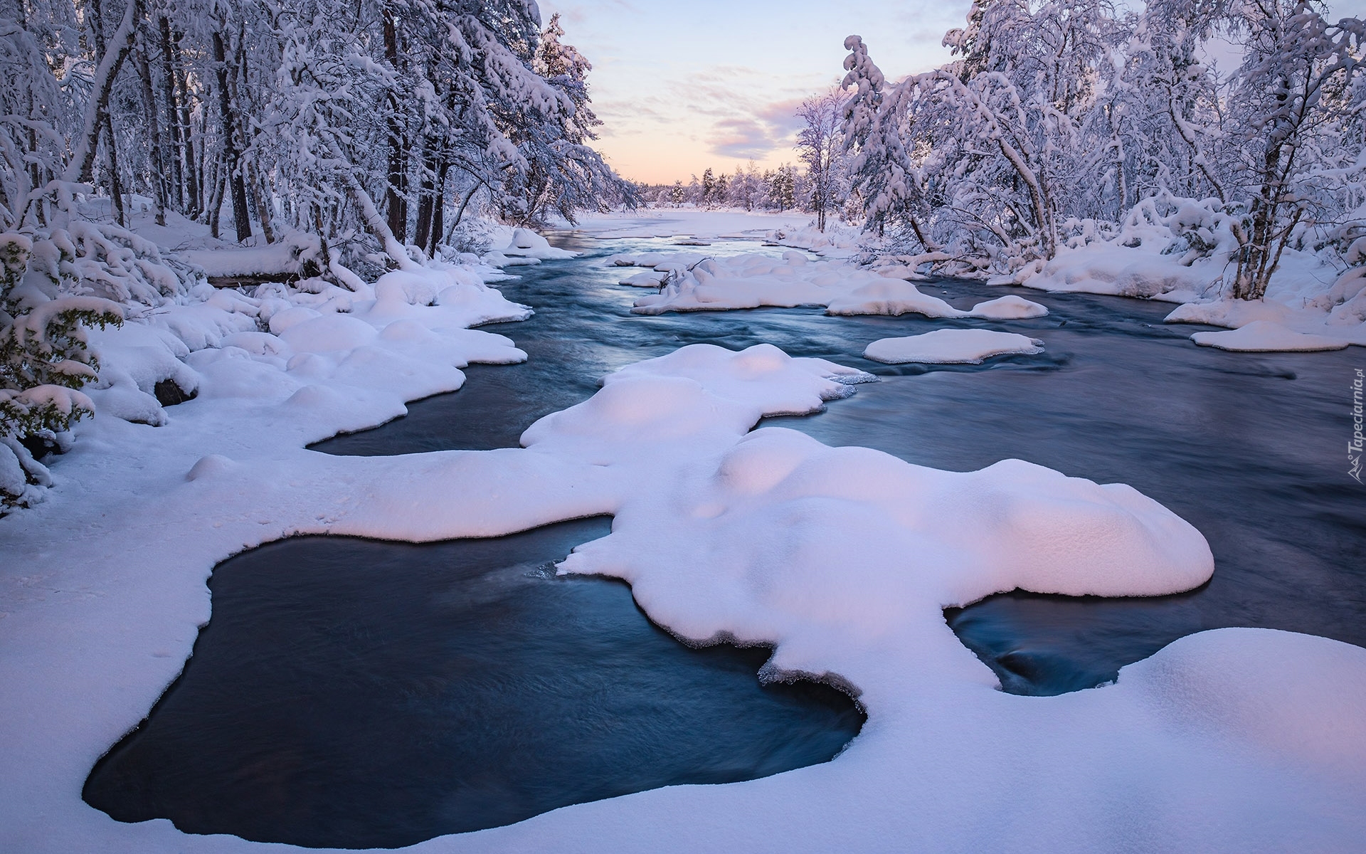 Ośnieżony las nad rzeką Ośnieżony las nad rzeką